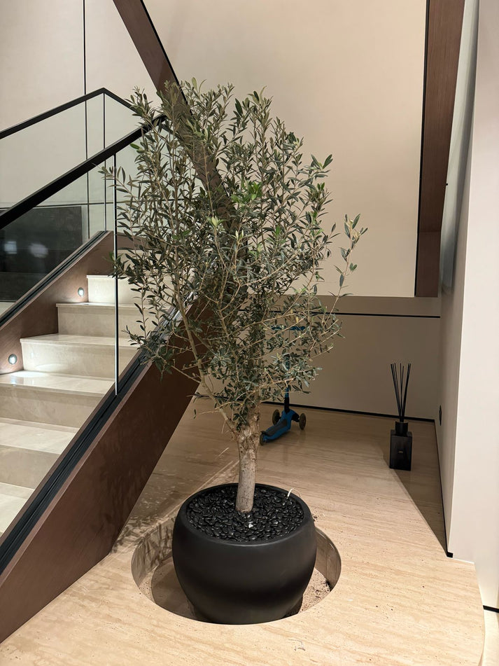 Open media 1 in modal