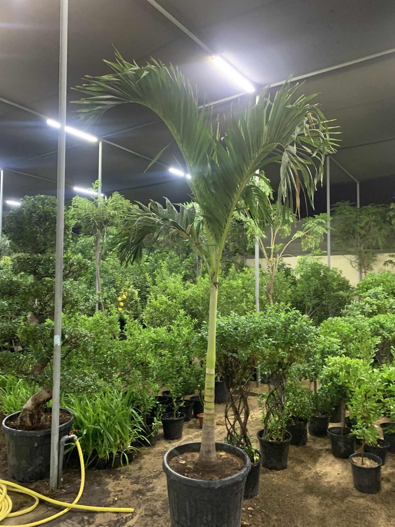 Open media 1 in modal